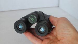 8x25 vs. 10x25 Compact Binoculars: Detailed Comparison - BinocularsDesk