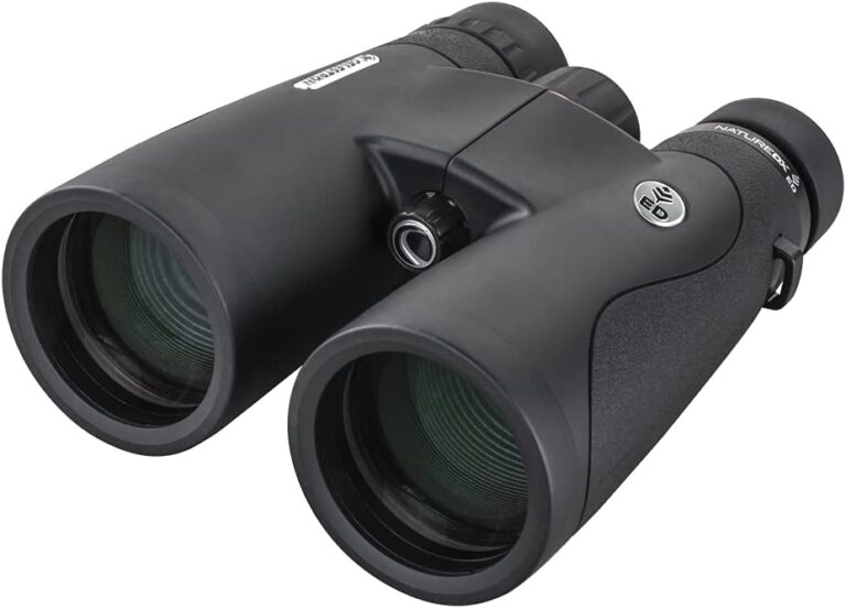 8 Best 10X50 Binoculars — Excellent for Outdoor Activities - BinocularsDesk