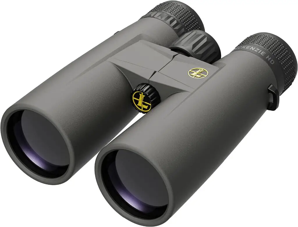 8 Best 10X50 Binoculars — Excellent for Outdoor Activities - BinocularsDesk