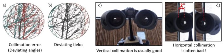 Get Perfectly Aligned Views: How to Collimate Binoculars - BinocularsDesk