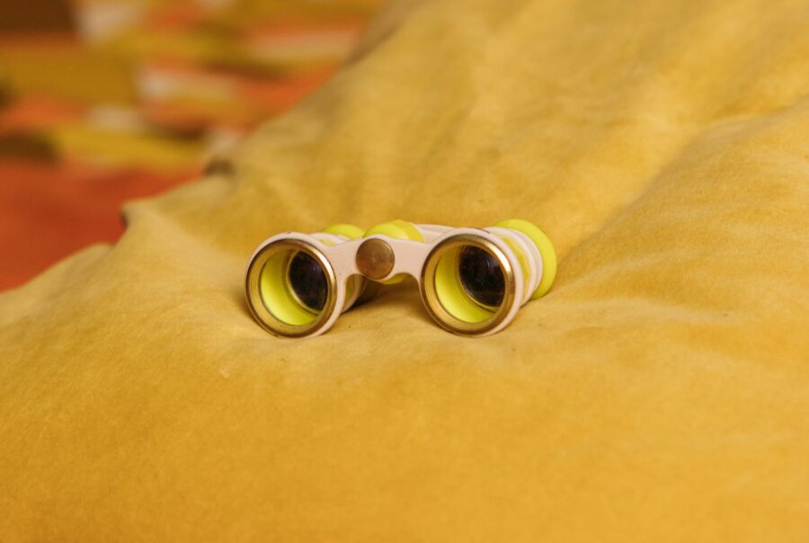 Choosing 8x vs 10x Binoculars: Considering Magnification & Lens ...