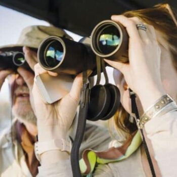 Choosing 8x vs 10x Binoculars: Considering Magnification & Lens ...