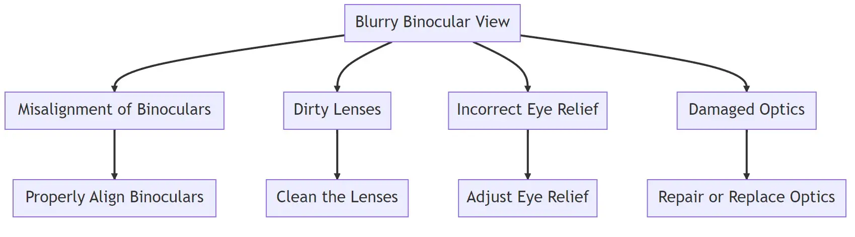 Blurry Binocular Views? Common Causes & Solutions - BinocularsDesk